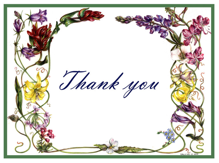 Gallery Shop – Cathy Weber